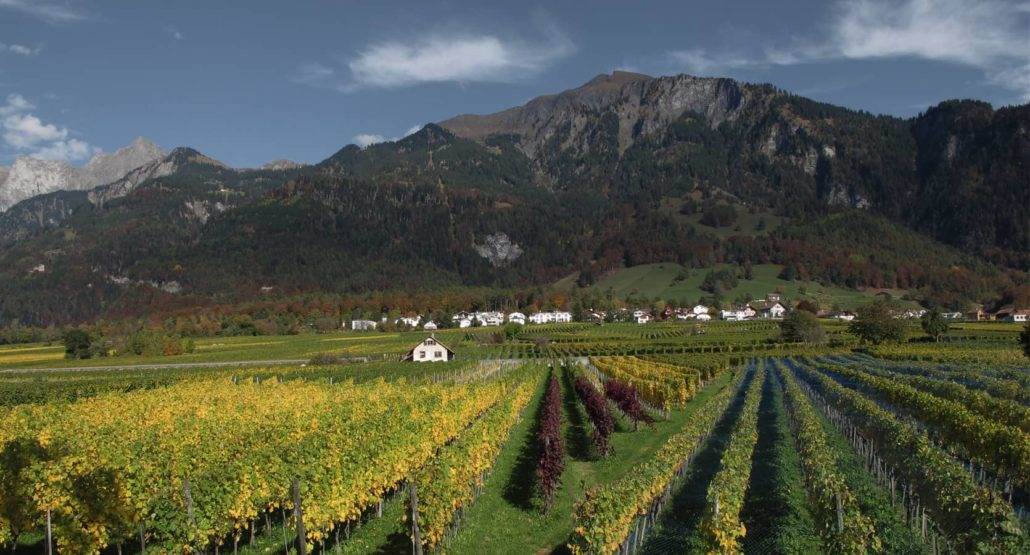 Real Wines by Paul Liversedge | Master of Wine | Real Wines.ch