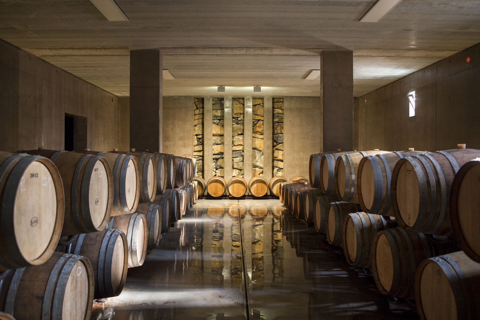Don’t miss the new vintages from Chiappini, Bolgheri’s organic treasure ...
