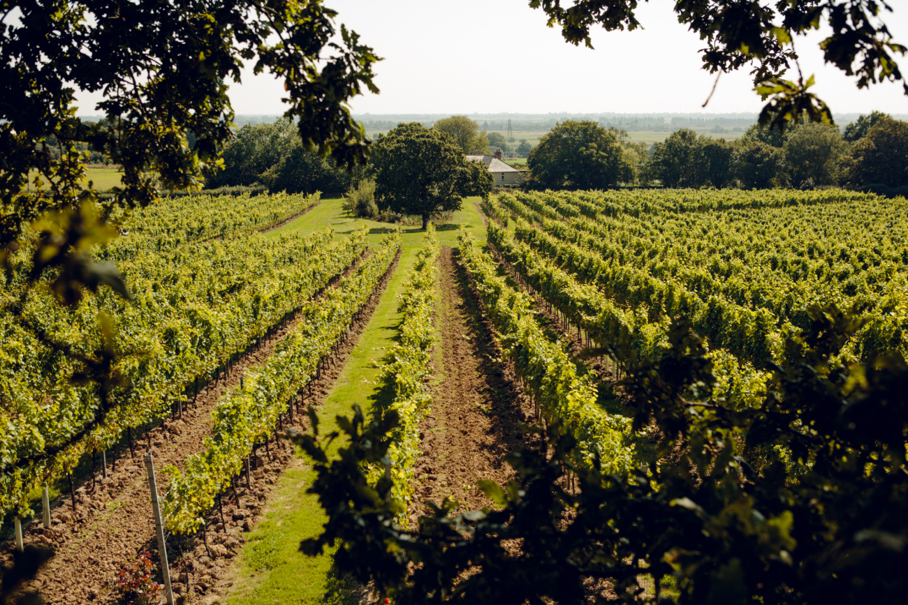 At least 10% off the most exciting selection of English sparkling wines ...