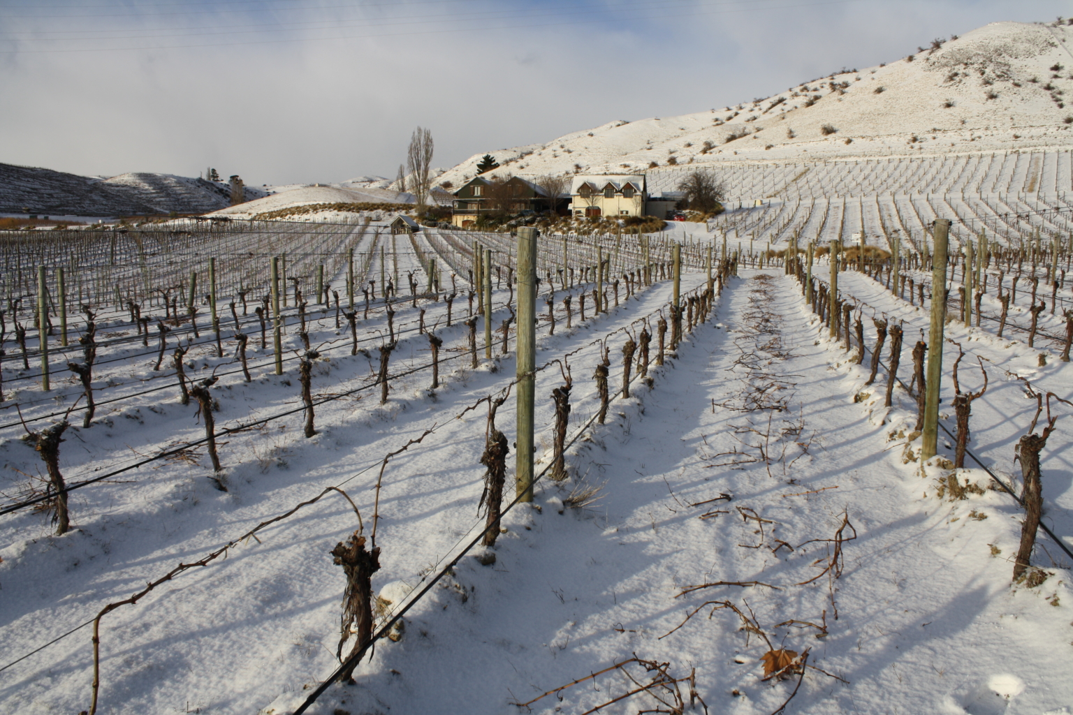 Real Wines by Paul Liversedge | Master of Wine | Real Wines.ch