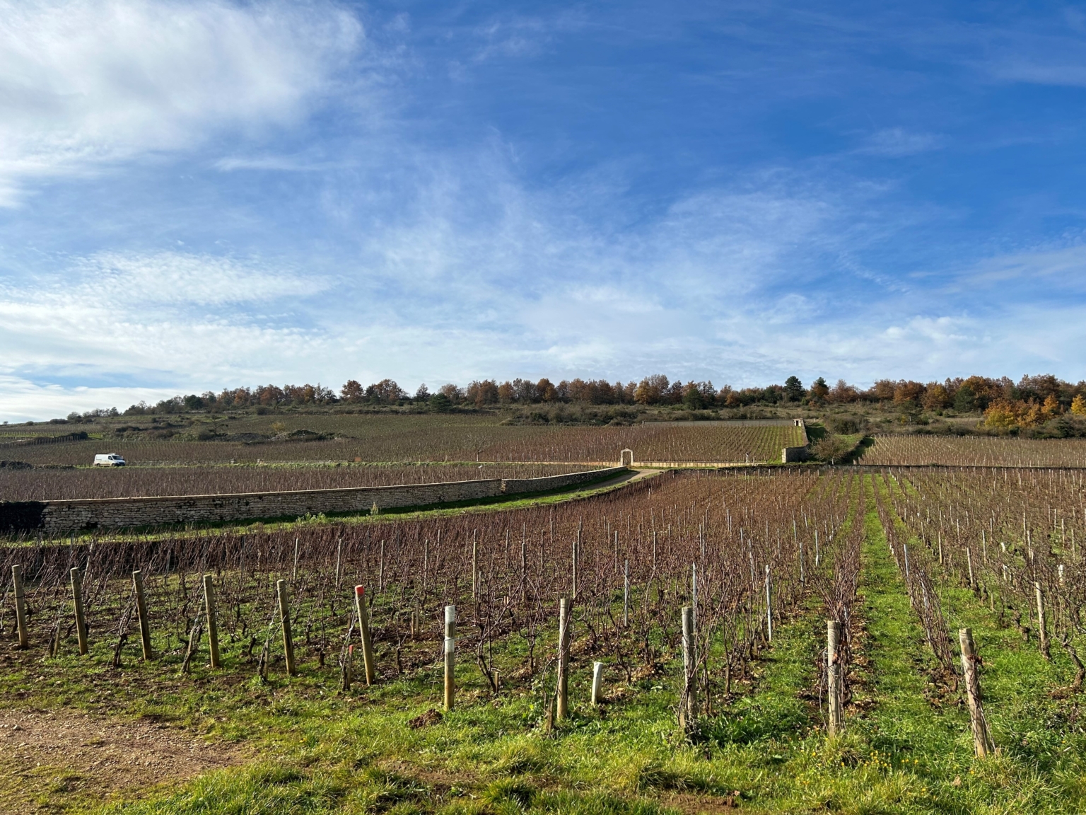 Real Wines by Paul Liversedge | Master of Wine | Real Wines.ch